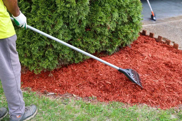 Demystifying the Lifespan: How Long Does Mulch Last? - Eco Green Empire